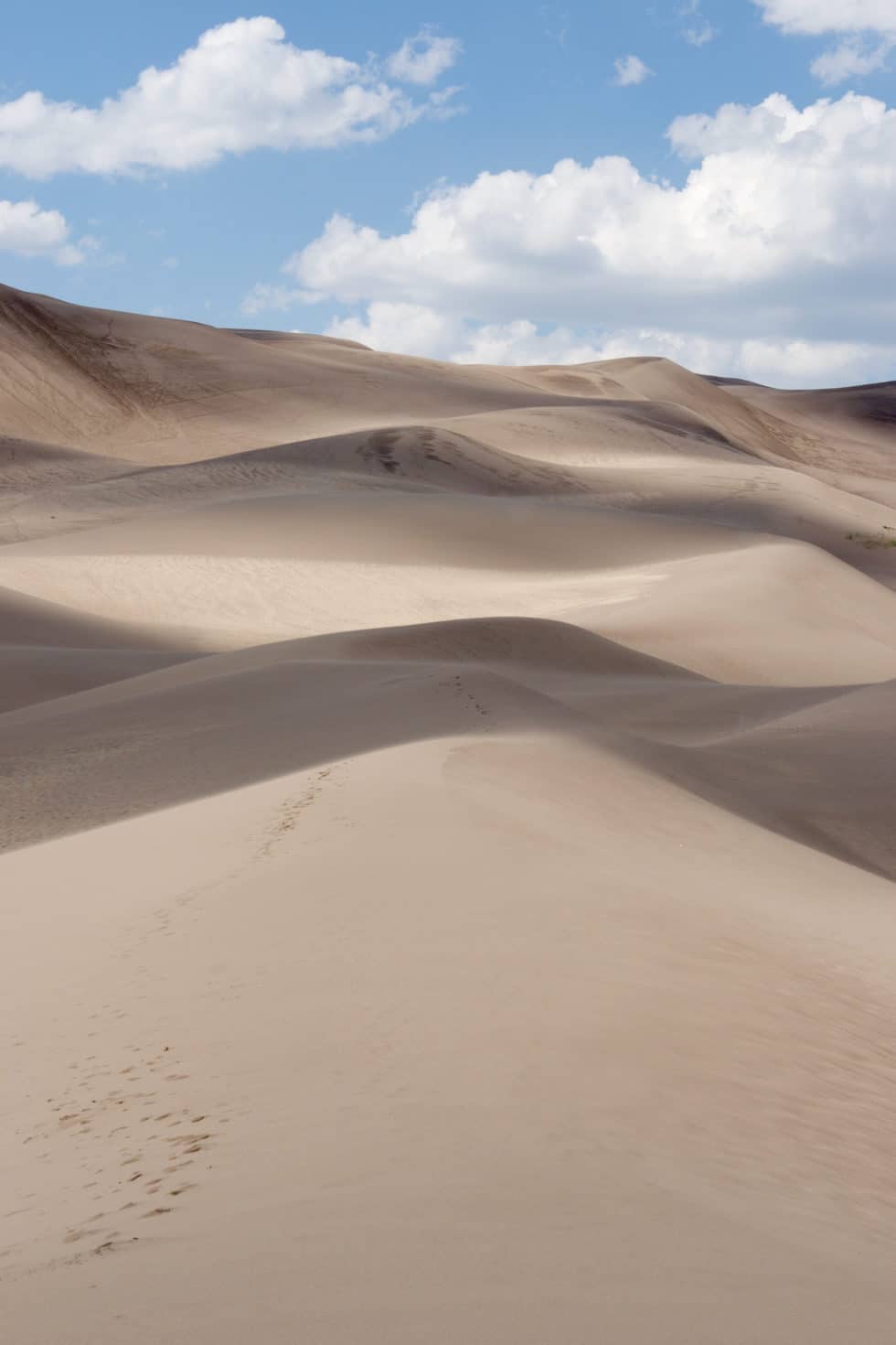 The Training and the Path - Dharma Ocean