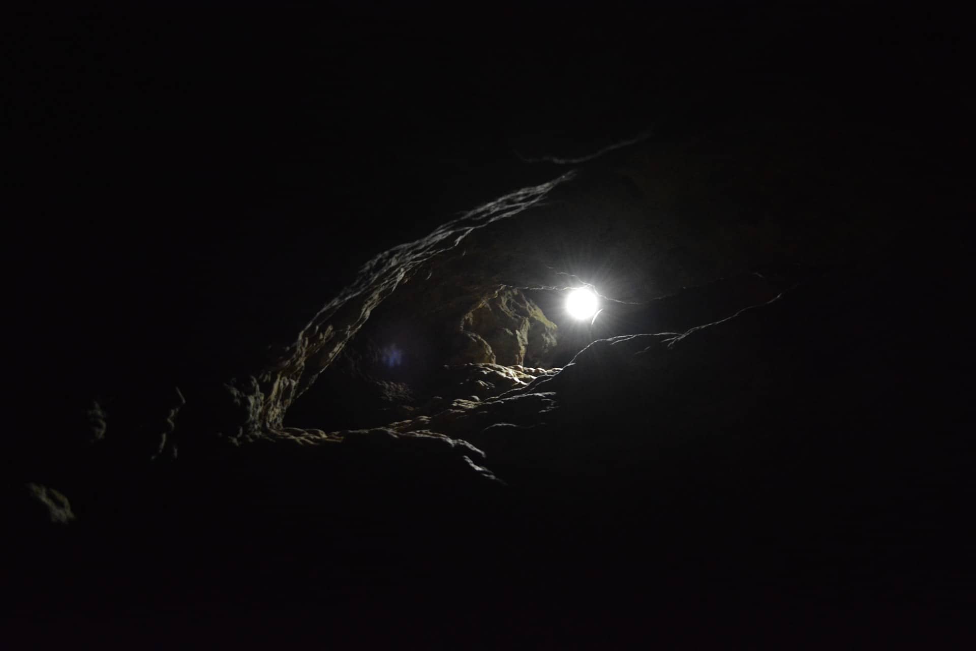 Dark Retreat - Dharma Ocean Foundation